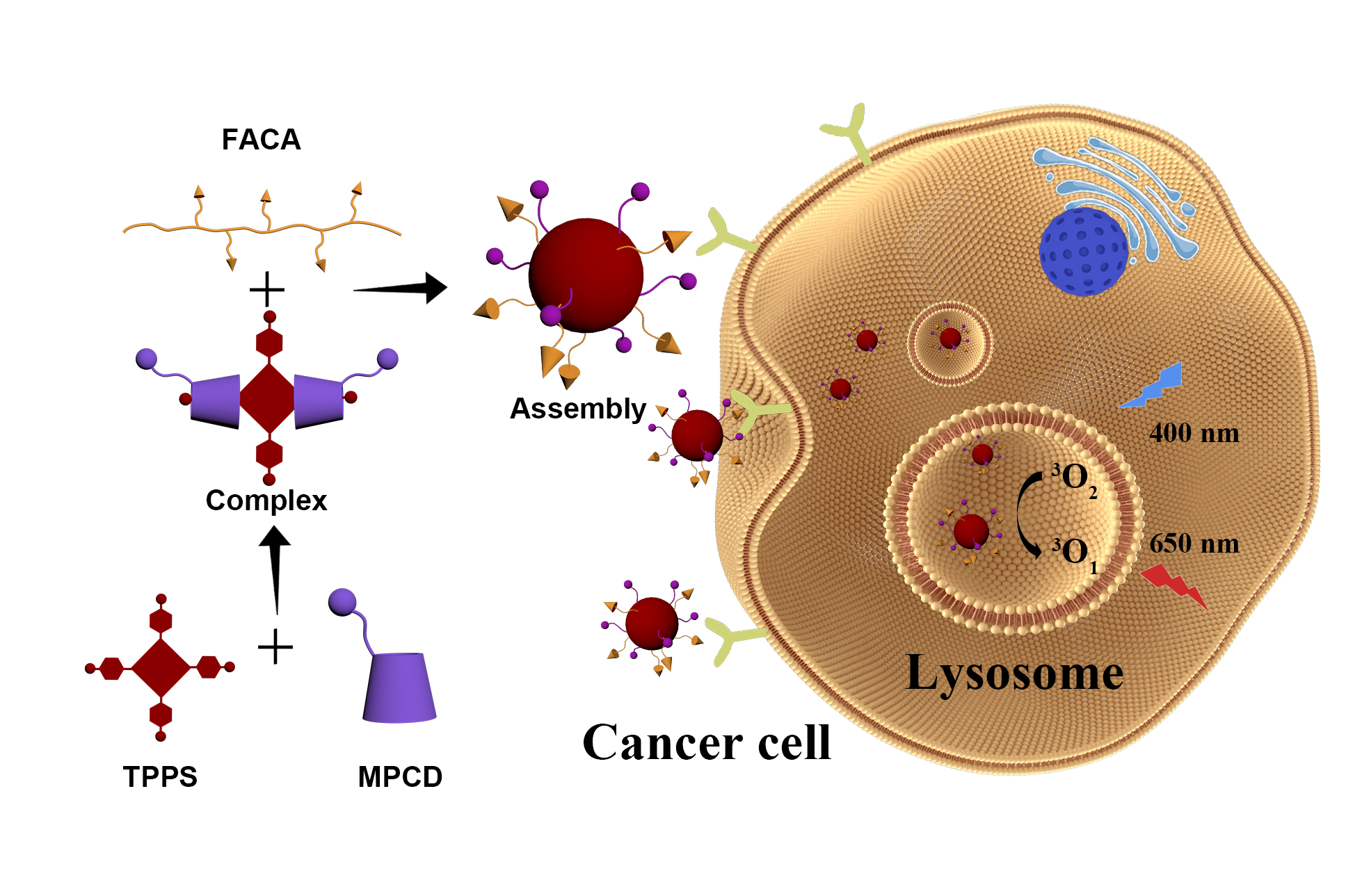 科研论文- 刘育教授超分子化学课题组