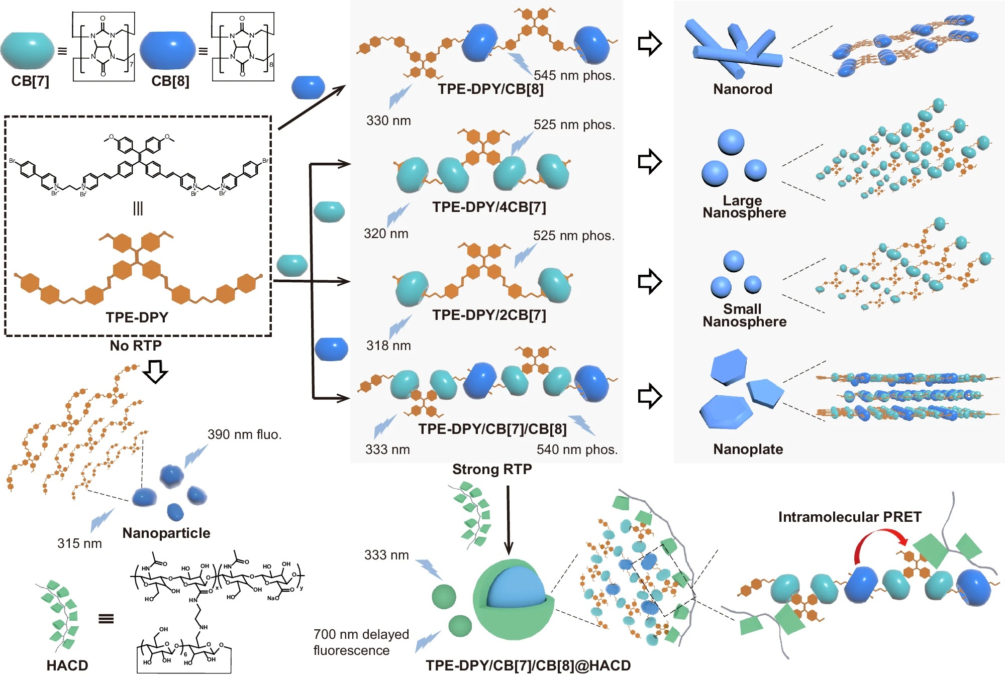 2025- 刘育教授超分子化学课题组